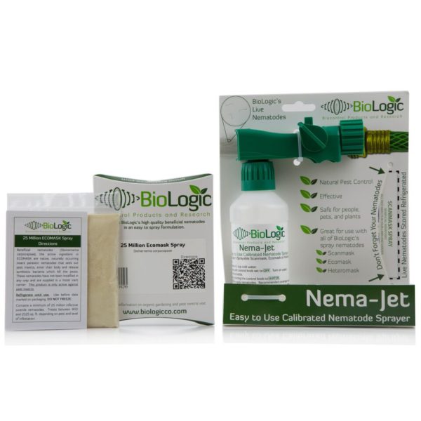 The Flea Nematode | BioLogic Company